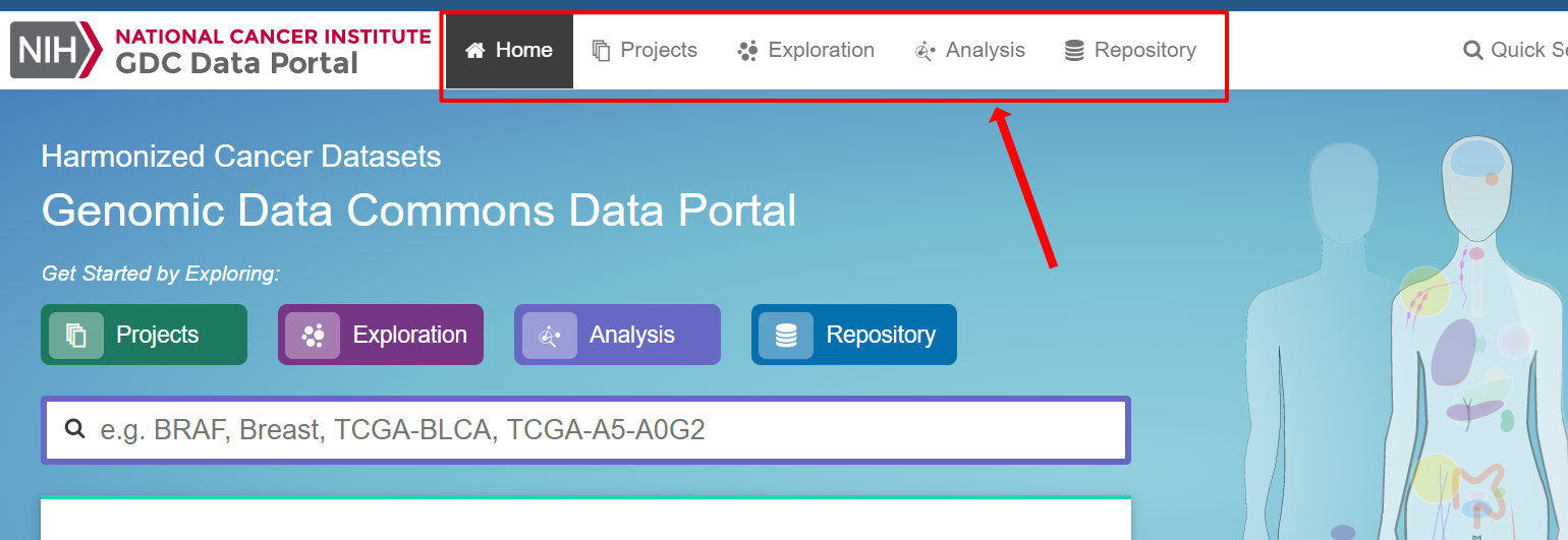 GDC Data Portal (TCGA) のデータを取得する | BioTech ラボ・ノート